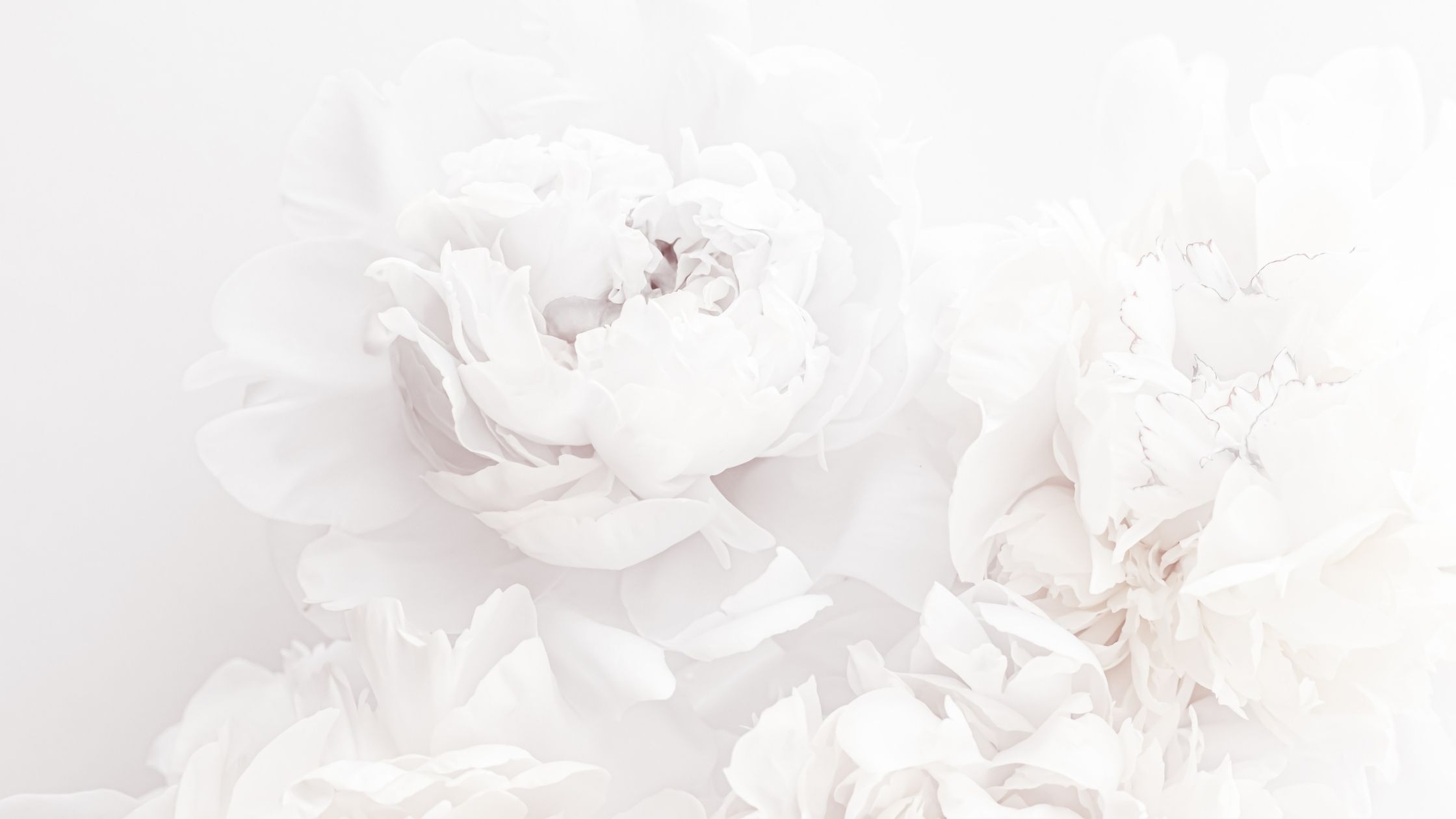 Nactarome Introduces Natural TiO2 Replacer Under the FiorioNat Brand ...