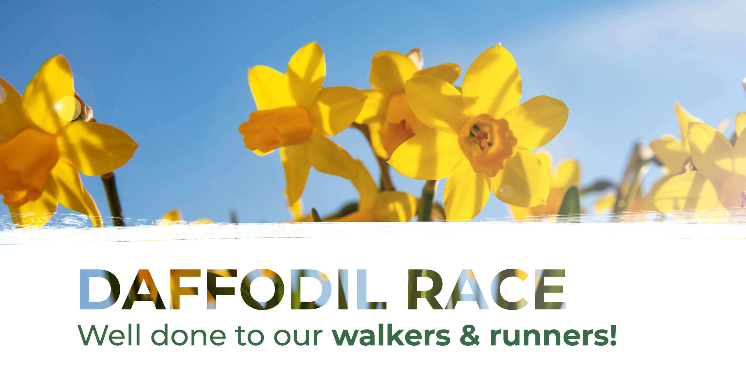 Nactarome Take Part in the Virtual Daffodil Run - Nactarome