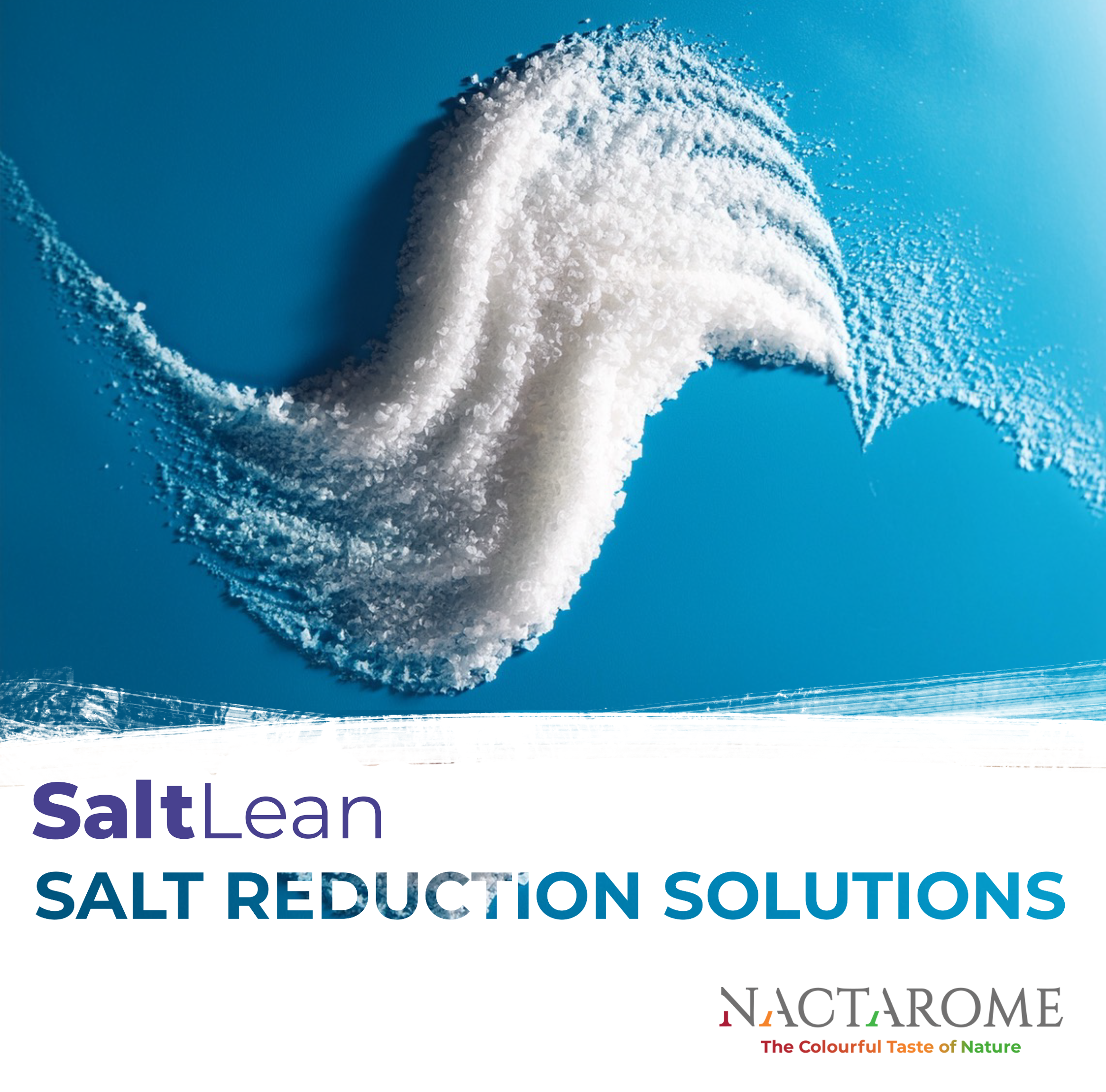 SaltLean: smart solutions for reducing salt without compromising taste ...